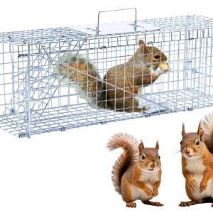 24" Live Animal Trap, Humane Animal Trap for Stray Cats up to 5.5 pounds, Raccoons, Squirrels, Skunks, Moles, Marmots, Armadillos, Rabbits, Steel Folding with Pedal Trigger