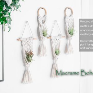 Melphoe 4 Pack Air Plants Holders Air Fern Macrame Plant Hanger Indoor Hanging Planter Basket for Tillandsias Display Air Plant Stand, Boho Home Decoration Gift Idea