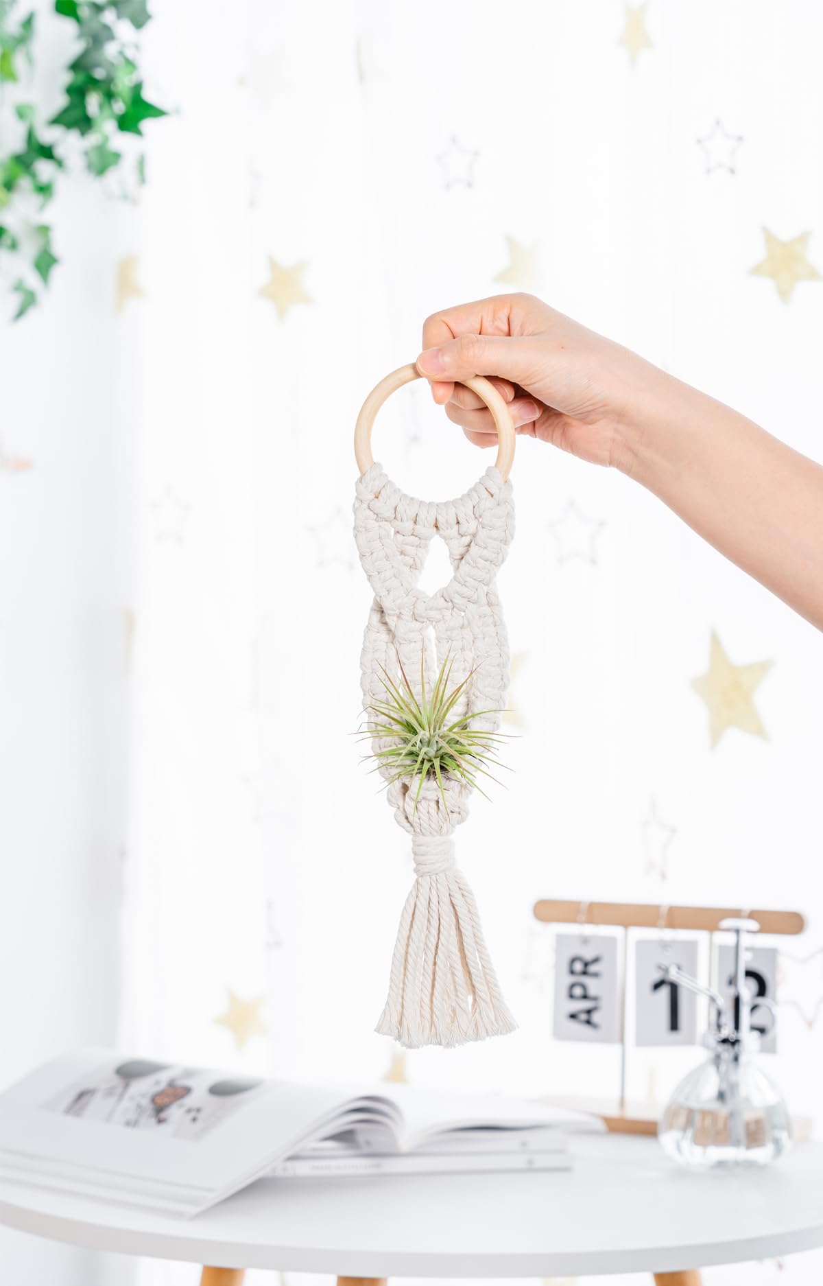 Melphoe 4 Pack Air Plants Holders Air Fern Macrame Plant Hanger Indoor Hanging Planter Basket for Tillandsias Display Air Plant Stand, Boho Home Decoration Gift Idea