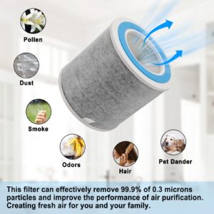 HP102 True HEPA Replacement Filter Compatible with Shark Air Purifier HP100, HP102, HC450, HC451, HC452, HC455, Compares to Part # HE1FKBAS and HE1FKPET 2PACK