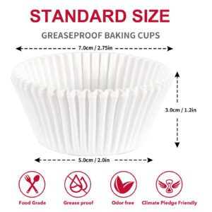 [300Pcs] Caperci Standard White Cupcake Liners for Baking - Odorless Greaseproof Paper Muffin Baking Cups for Wedding Birthday Party Baby Shower Festivals (White)