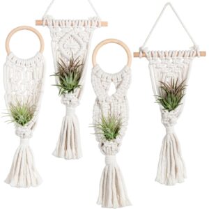 melphoe 4 pack air plants holders air fern macrame plant hanger indoor hanging planter basket for tillandsias display air plant stand, boho home decoration gift idea