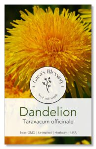 gaea's blessing seeds - dandelion seeds - common dandelion - non-gmo herb seeds with easy to follow instructions, heirloom, open-pollinated, untreated