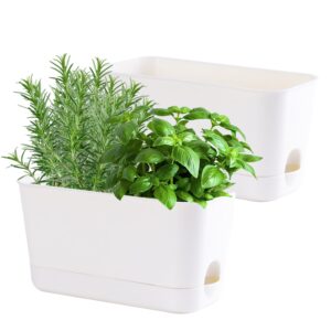 oliz herb garden planter indoor kit self watering pots for indoor/outdoor plants 2 packs windowsill plant pots with drainage and tray, window pot for indoor plants