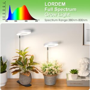 LORDEM Grow Light, 48 LEDs Plant Light for Indoor Plants, Full Spectrum Desk Grow Lamp with Automatic Timer for 4H/8H/12H, 4 Dimmable Levels, Height Adjustable 7.8"-26", 1 Pack