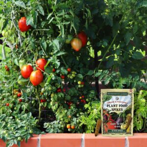 The Old Farmer's Almanac Tomato & Vegetable Plant Food Mini Spikes - NPK 6-4-6 for Continuous Feeding and Bountiful Harvests (24 Mini Spikes)