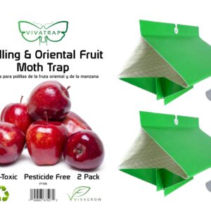 VivaTrap VT-106 Codling + Oriental Fruit Moth Trap & Lure (2 Pack, 8 Week)