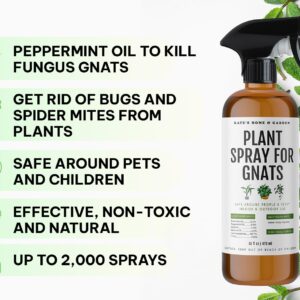 Kate's Home & Garden Plant Spray for Insects & Getting Rid of Gnats with 12 Gnat Sticky Traps. Fungus Gnat Killer & Gnat Control for Indoor Plants (16oz, Pet Safe, Non Toxic)