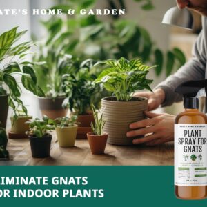 Kate's Home & Garden Plant Spray for Insects & Getting Rid of Gnats with 12 Gnat Sticky Traps. Fungus Gnat Killer & Gnat Control for Indoor Plants (16oz, Pet Safe, Non Toxic)