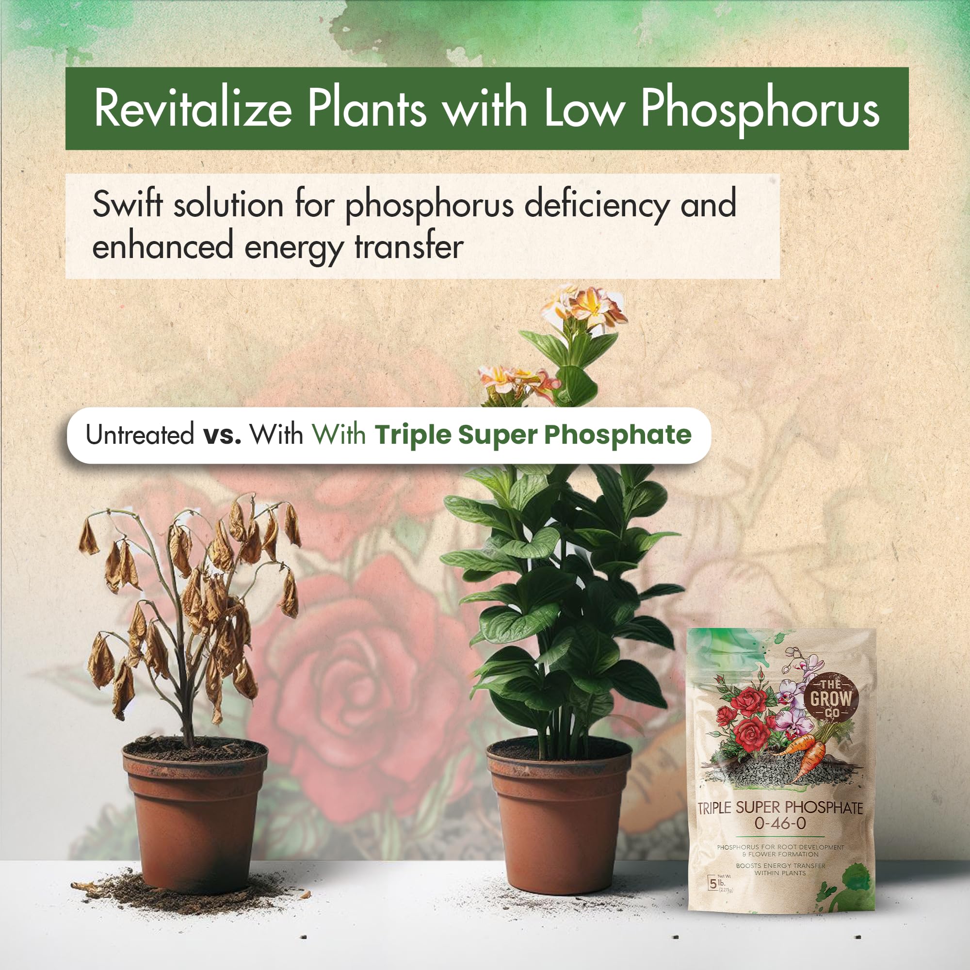 Triple Super Phosphate 0-46-0 Fertilizer, High Phosphorus Fertilizer for Stronger Roots & Flower Formation, Ideal Super Phosphate Fertilizer for Plants - Flowers, Fruits, Vegetables & Turf, 5 lb.