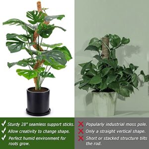 2 Pack Moss Pole, 28 Inch Bendable Moss Pole for Plants Monstera, Moss Poles for Climbing Plants Indoor, Coir Plant Pole Sticks Support Stakes for Potted Plants, Pothos, Philodendron