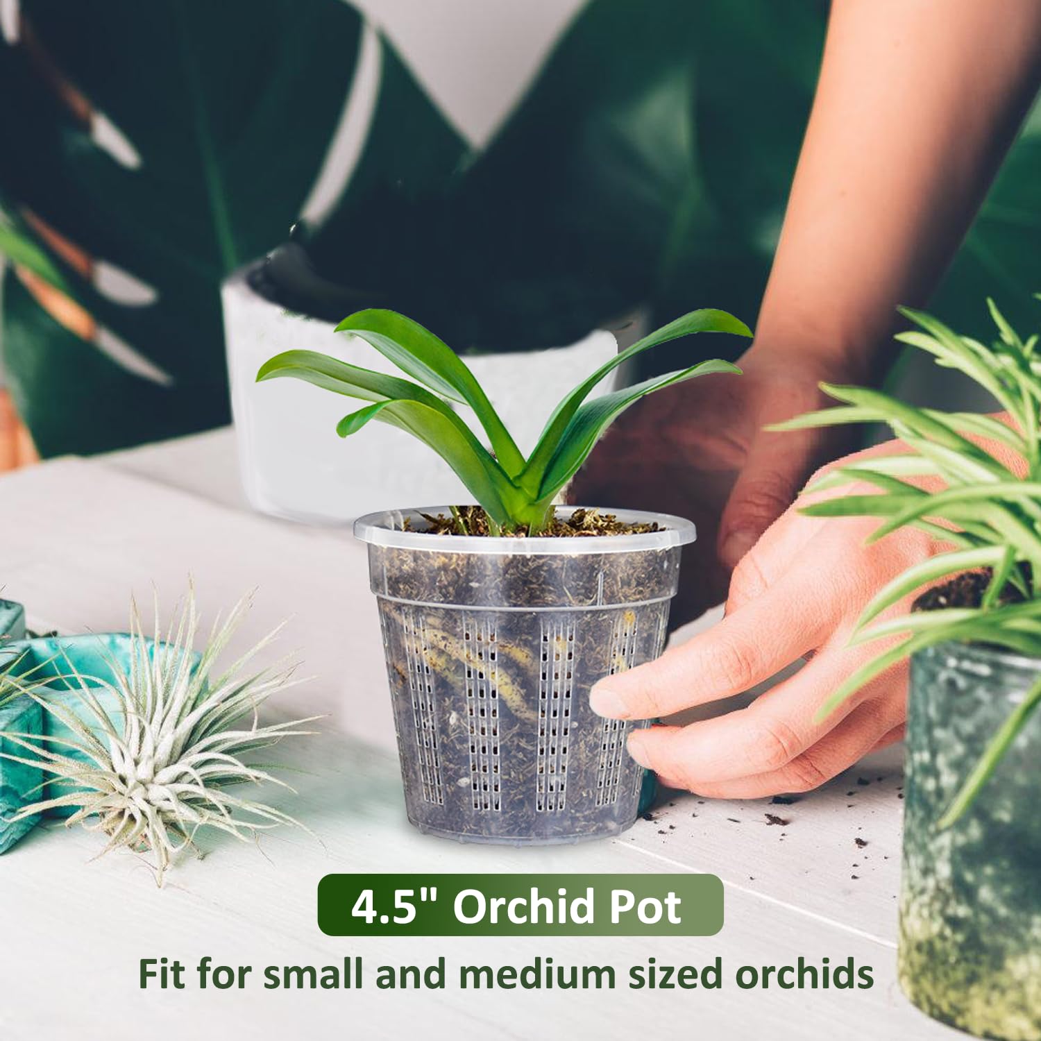 HOLANHING 8 Pack Orchid Pot, 4.5in Orchid Pots with Holes, Orchid Pots for Repotting with Clips, Clear Plastic Plant Pot for Indoor Outdoor Plants（4.5in, 8 Pack）