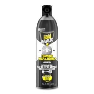 raid max foaming wasp & hornet killer, fast coverage foam, bug killer kills the entire nest, 16.5 oz