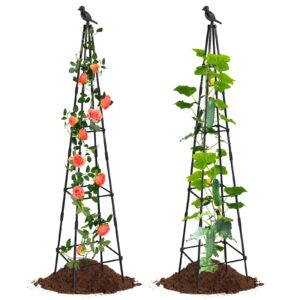 mqhuayu 2 pack garden obelisk trellis for climbing plants outdoors, 65 inch rustproof plant stand climbing support with adjustable heights for indoor potted plants, vines, flowers stands, vegetables