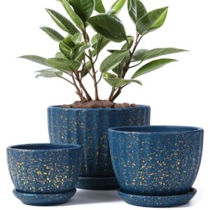 sthie ceramic plant pots with drainage holes and saucers, round blue flower pots for indoor plant, diameter 3.3/4.3/5.5 inches small mini flower planters set of 3