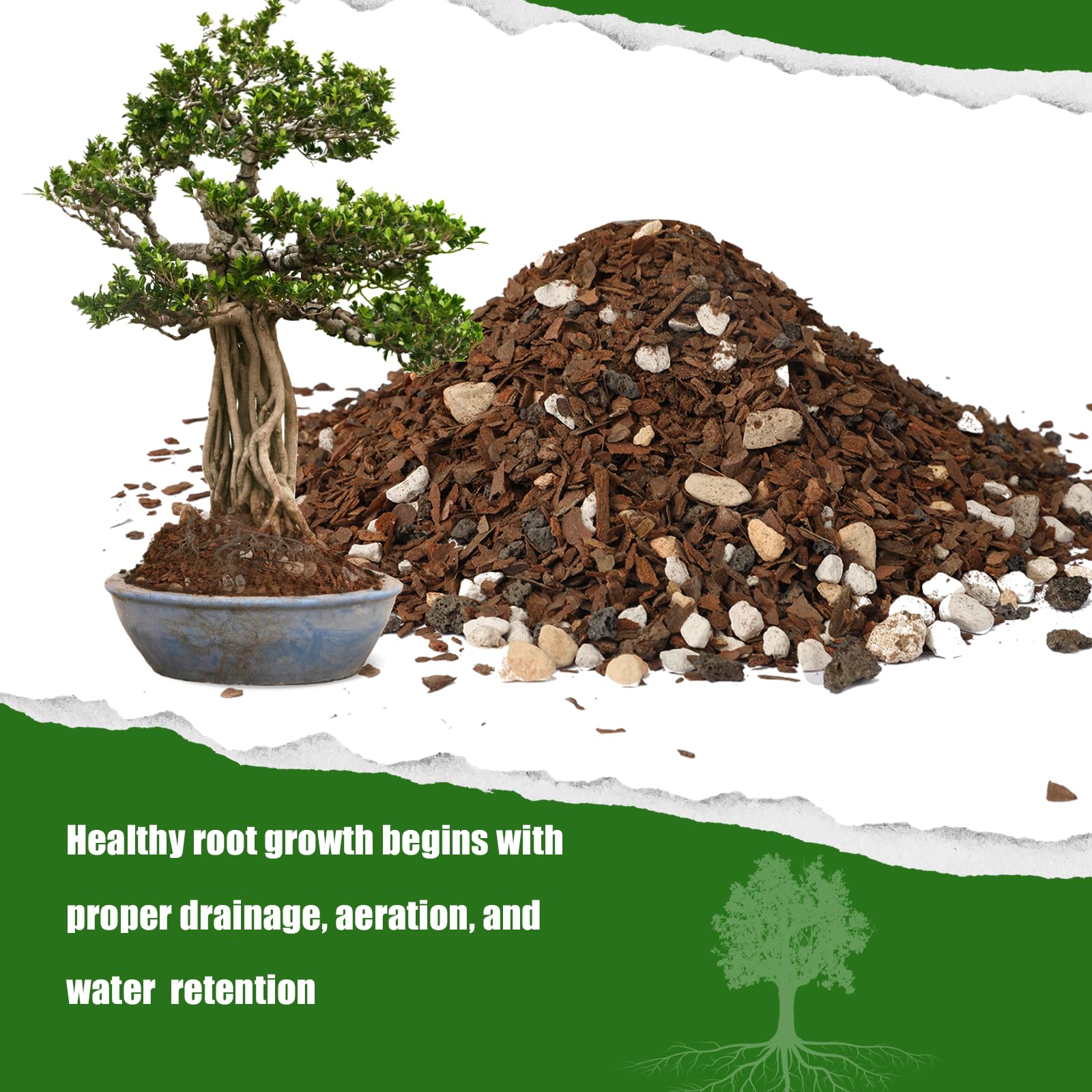 Doter Bonsai Soil Mix Ready to Use (1qt), Premium Fast Draining Organic All Purpose Potting Mix for All Varieties of Bonsai