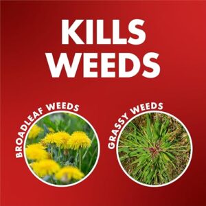 Spectracide One-Shot Weed & Grass Killer with AccuShot Sprayer, 1 Gallon, One Application Kills and Prevents Weeds for up to 5 Months