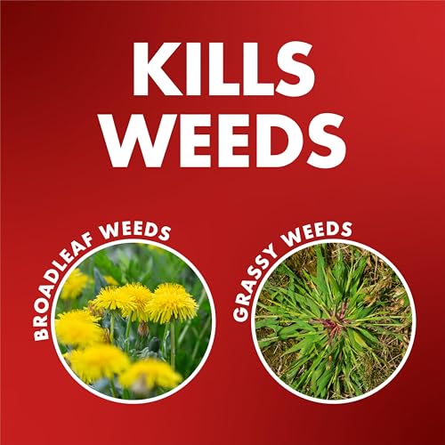 Spectracide One-Shot Weed & Grass Killer with AccuShot Sprayer, 1 Gallon, One Application Kills and Prevents Weeds for up to 5 Months