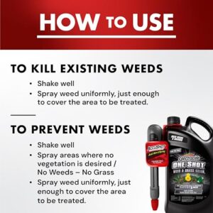 Spectracide One-Shot Weed & Grass Killer with AccuShot Sprayer, 1 Gallon, One Application Kills and Prevents Weeds for up to 5 Months