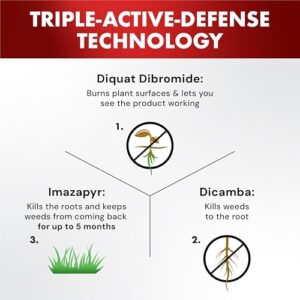 Spectracide One-Shot Weed & Grass Killer with AccuShot Sprayer, 1 Gallon, One Application Kills and Prevents Weeds for up to 5 Months