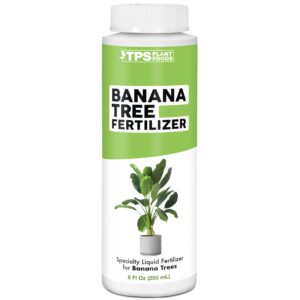 banana tree fertilizer for all banana tree plants, liquid plant food 8 oz (250ml)