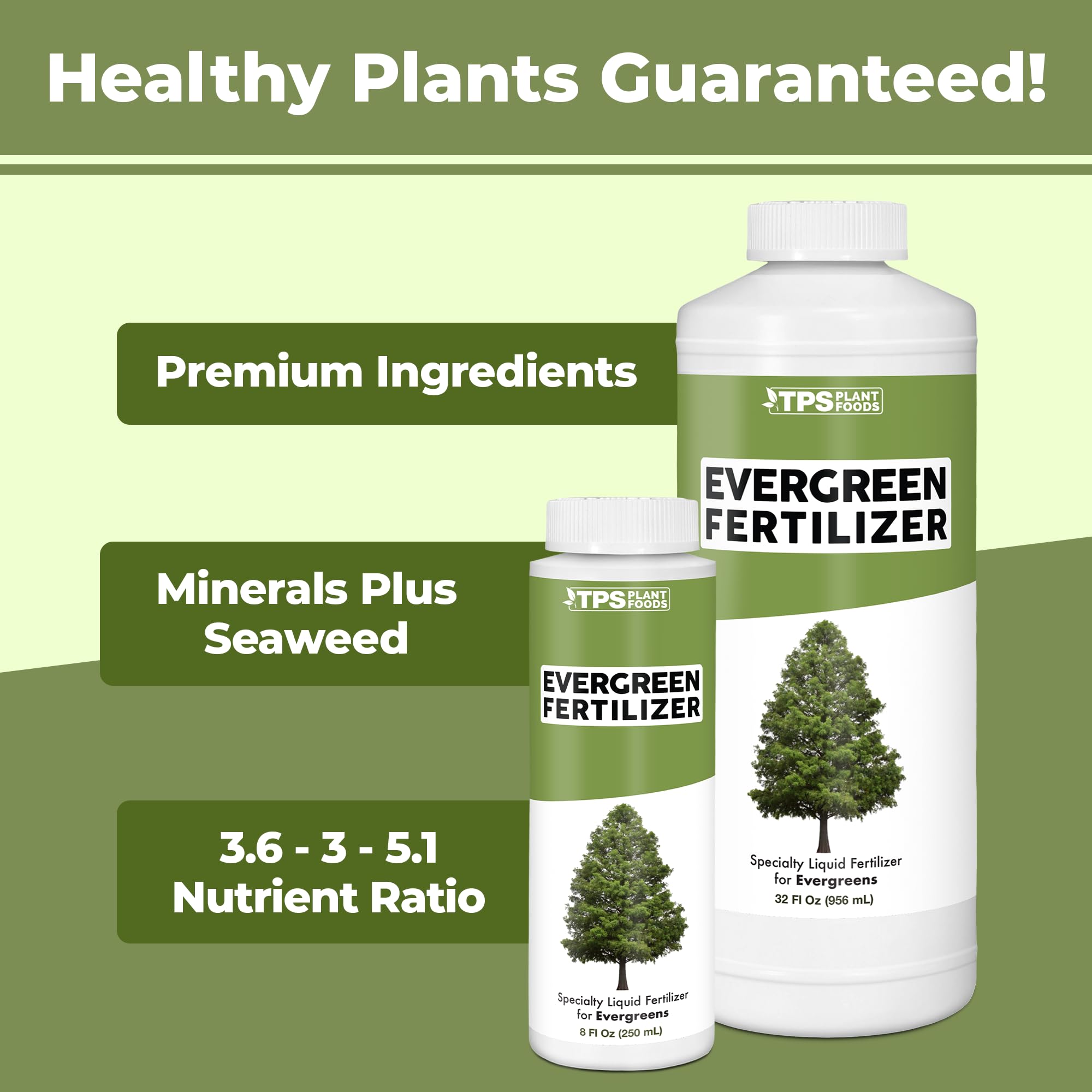 Evergreen Tree Fertilizer for All Conifer Trees and Shrubs, Liquid Plant Food 32 oz (1 Quart)