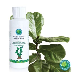 fiddle leaf fig rescue drops by fiddle leaf fig plant resource | 3-in-1 liquid fertilizer, root supplement & immunity booster (3.3 fluid ounces - 100ml)