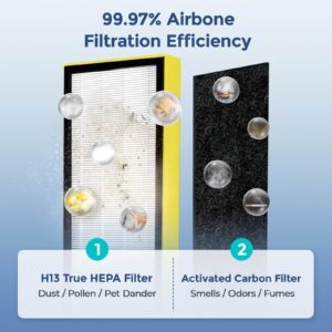 Fil-fresh FLT5000 Filter C Replacement Filter, Compatible with AC5000, AC5000E, AC5250PT, AC5300 Series Air Purifier, Pet Pure Treatment, 2 HEPA Filters & 4 Carbon Pre-filters