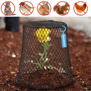 SOUJOY 10 Pieces Chicken Wire Plant Covers, Garden Cloche with 30 Garden Stakes and 20 Waterproof Labels, Metal Cage Protector Basket for Keeping Bunnies Chicken Squirrels Birds Out