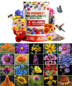 home grown midwest wildflower seeds mix 4oz | 65,000 non-gmo, usa sourced, high germination rate | heirloom pollinator flowers seed mix | wild flower seeds bulk | covers 500 sq. ft.