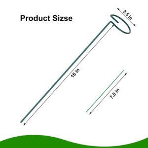 6 Pack Plant Support Stakes, 16 inch Plant Support Rings with 50 Pcs Plant Twist Ties, Single Stem Plant Support Stakes for Plant Flowers, Amaryllis, Rose, Orchid, Peony, Lily, Tomatoes, Vegetable