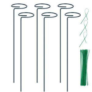 6 pack plant support stakes, 16 inch plant support rings with 50 pcs plant twist ties, single stem plant support stakes for plant flowers, amaryllis, rose, orchid, peony, lily, tomatoes, vegetable