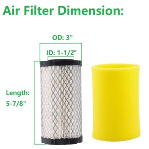 Annolai 793569 793685 Air Filter for BS Craftsman 793569 4241 5415 John Deer-e GY21055 MIU11511 LA125 LA115 D100 D110 D120 Parts Craftsman YT3000 LT2000 T110 Mower 696854 Oil Filter