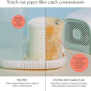 Canopy Original Bedside Humidifier Filters, Pack of 3 Filters, Replacement Filters - Compatible with Canopy Bedside Humidifiers, Made with Wood Pulp, Paper Filter, Replace Every Six Weeks