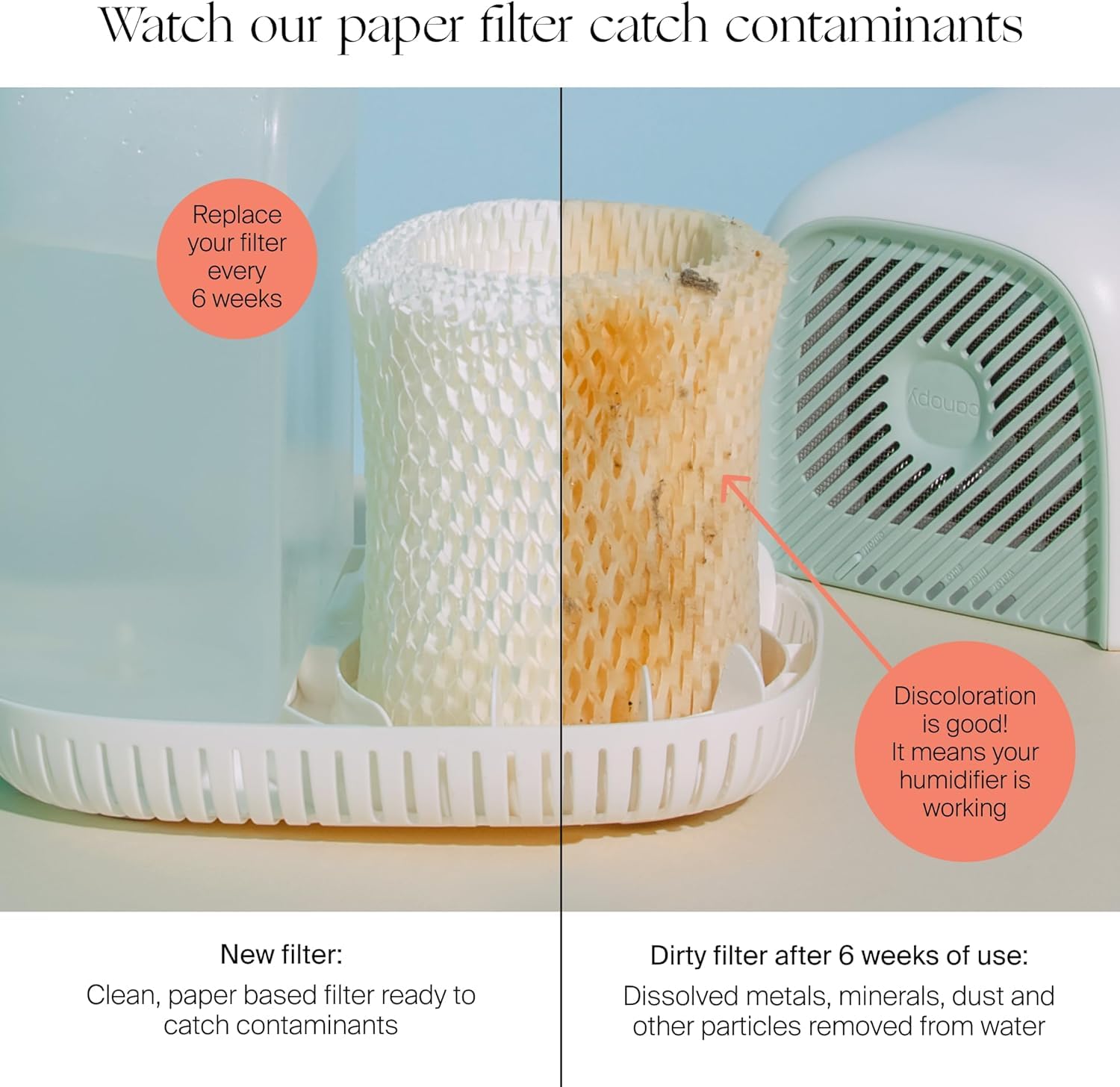 Canopy Original Bedside Humidifier Filters, Pack of 3 Filters, Replacement Filters - Compatible with Canopy Bedside Humidifiers, Made with Wood Pulp, Paper Filter, Replace Every Six Weeks