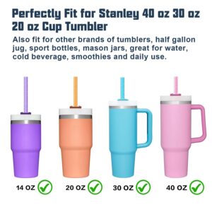 YOUCOX 10 Pack Replacement Straw for Stanley 40 oz 30 oz Cup Tumbler with handle, Color Glitter Reusable Straws with Cleaning Brush for Stanley Adventure Travel Tumbler Accessories, Dishwasher Safe