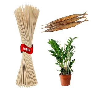 datpuik 12 inch natural bamboo skewers for barbecue party，fruit，kabob，appetiser，hamburger，cocktail，craft，bouquet，chocolate fountain，corn dog, diameter=4mm. more size choices 6"/8"/10"/12"(100 pcs)