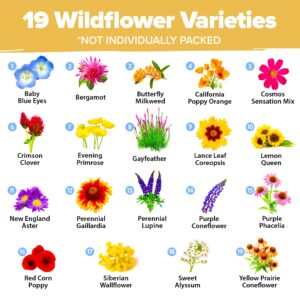 HOME GROWN Wildflower Seeds (3oz) 89,000+ Flower Seed Mix | No Filler | 19 Varieties, USA-Sourced Bulk Wild Flowers Seeds for Planting, Butterfly & Pollinator Perennial and Annual Wild Flower Mix