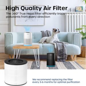 H13 True HEPA Filter, Compatible With STEALTH JAP230W JAP230B STEALTH JAP230AC1 Air Purifier Replacement Filter, 3-in-1