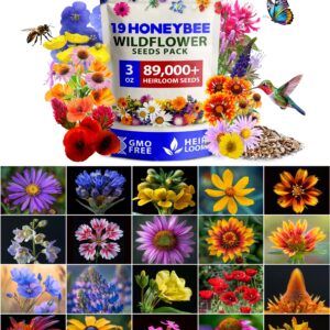 HOME GROWN Wildflower Seeds (3oz) 89,000+ Flower Seed Mix | No Filler | 19 Varieties, USA-Sourced Bulk Wild Flowers Seeds for Planting, Butterfly & Pollinator Perennial and Annual Wild Flower Mix