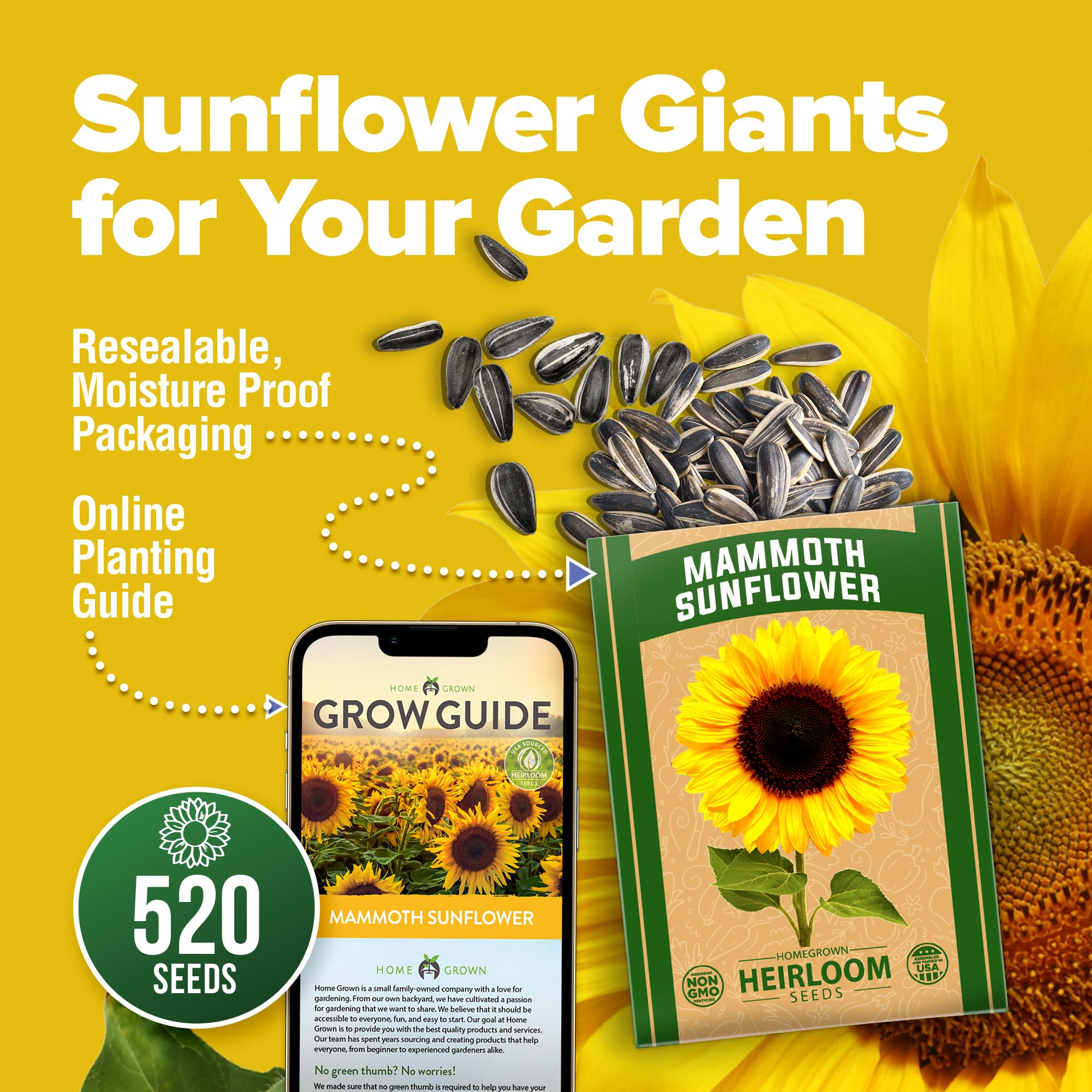 HOME GROWN Sunflower Seeds to Plant | 520+ Giant Mammoth Sunflower Seeds for Planting Bulk Packet | Heirloom, High Germination, Easy to Grow Jumbo Sun Flower Seeds for Home Garden