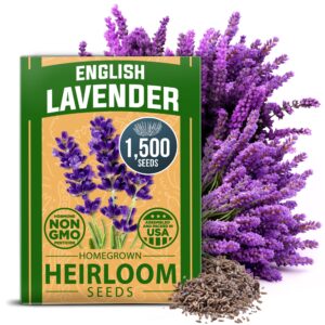 home grown premium english lavender seeds, 1500 non-gmo herb seeds, usa-sourced wildflower seed for planting indoor/outdoor, high germination, plant flower seeds