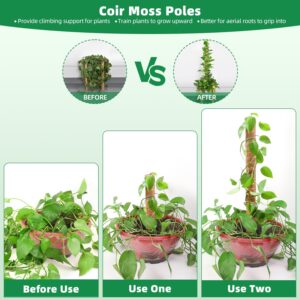 Moss Pole for Plants, 4 Pack Moss Poles for Climbing Plants, Monstera Coir Totem Pole, 15.8 Inch Moss Sticks for Plant Support, Indoor Potted Plants Train Creeper Plants Grow Upwards