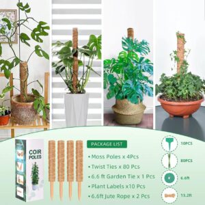 Moss Pole for Plants, 4 Pack Moss Poles for Climbing Plants, Monstera Coir Totem Pole, 15.8 Inch Moss Sticks for Plant Support, Indoor Potted Plants Train Creeper Plants Grow Upwards