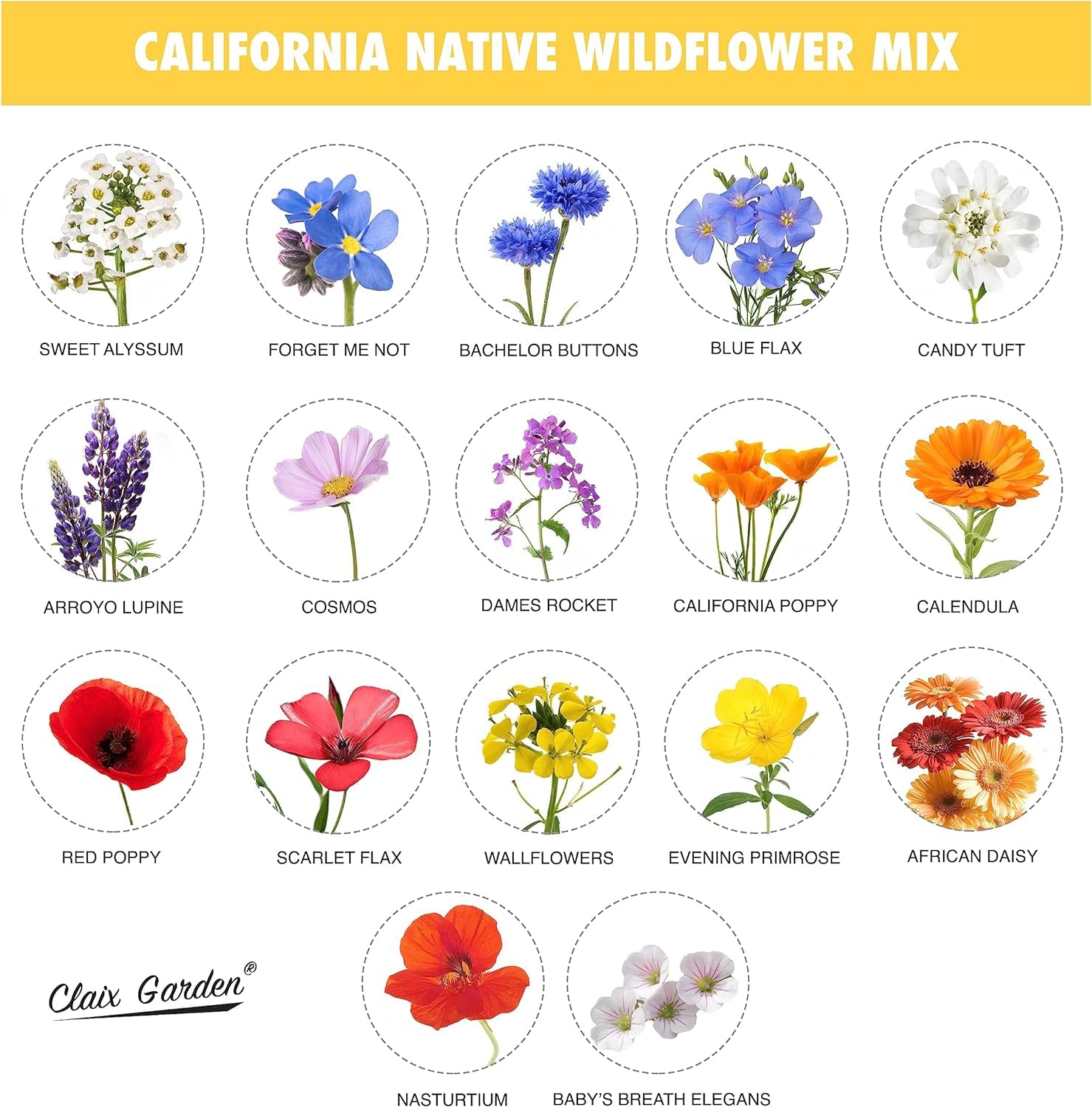 California Wildflower Mix - 5,000 Seeds - 17 Varieties - No Fillers, Open Pollinated and Non GMO, Perennial and Annual Garden Flowers, Attracts Bees and Butterflies