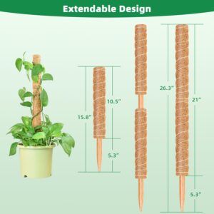 Moss Pole for Plants, 4 Pack Moss Poles for Climbing Plants, Monstera Coir Totem Pole, 15.8 Inch Moss Sticks for Plant Support, Indoor Potted Plants Train Creeper Plants Grow Upwards