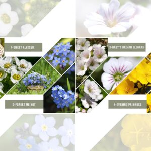 California Wildflower Mix - 5,000 Seeds - 17 Varieties - No Fillers, Open Pollinated and Non GMO, Perennial and Annual Garden Flowers, Attracts Bees and Butterflies