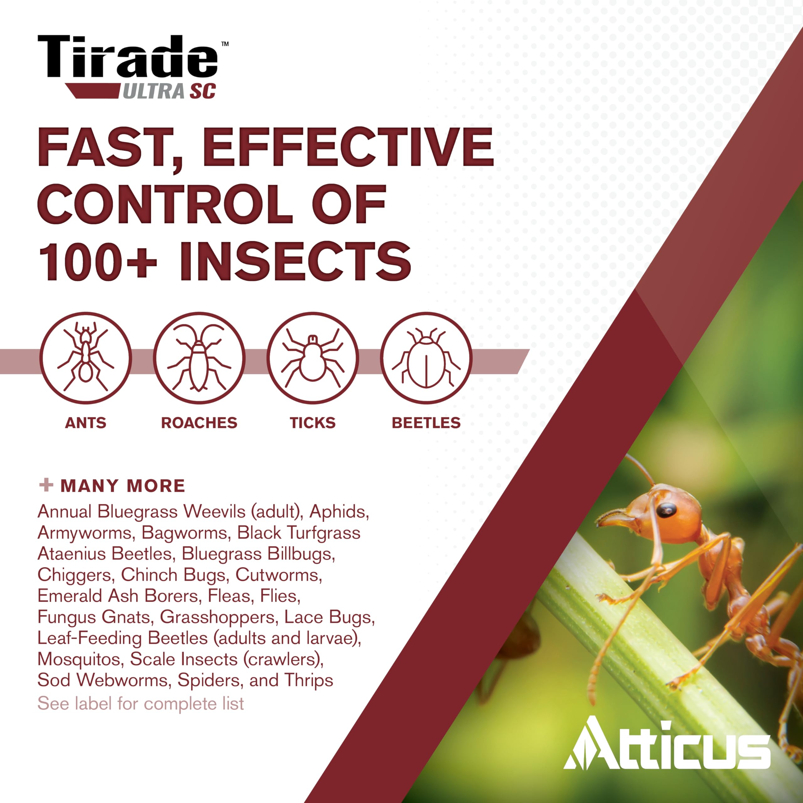 Tirade Ultra SC Insecticide by Atticus - Compare to The Leading Brand - Beta-Cyfluthrin Pest Control for Indoor and Outdoor Use (240 ML)