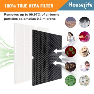 116130 Air Purifier Filter for Winix 5500-2 and AM80 Air Purifier, True HEPA Filter Replacement Filter, 2 HEPA and 2 Carbon Filter