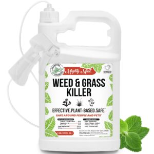 weed & grass killer – natural vinegar & salt weed killer – 1 gallon - glyphosate free